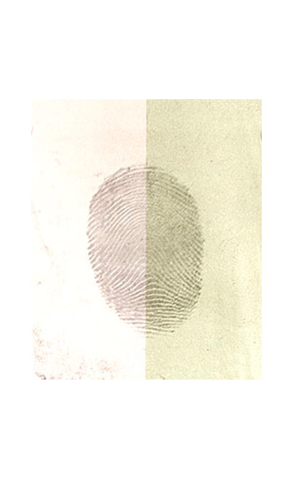 AccuTrans Transparent Intro Kit – medtechforensics