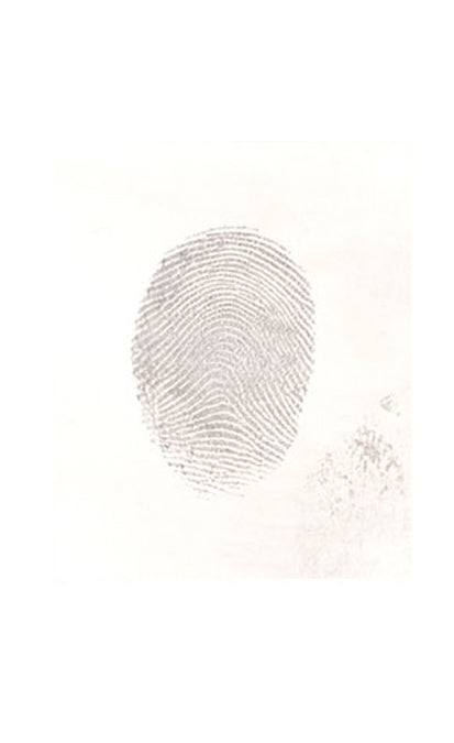 AccuTrans - 4 pack – medtechforensics